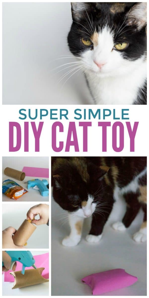 DIY Cat Toy: Pampering Your Kitty - Glue Sticks and Gumdrops