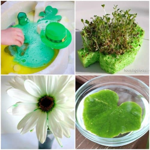 28+ St. Patrick's Day Science Activities for Kids - Glue Sticks and ...