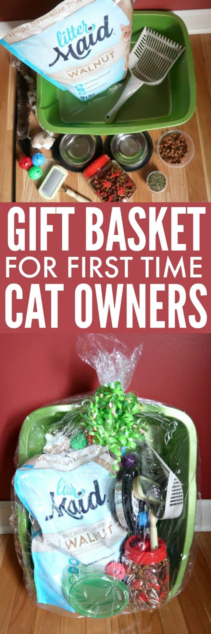 10 Essentials For First Time Cat Owners - Glue Sticks and Gumdrops