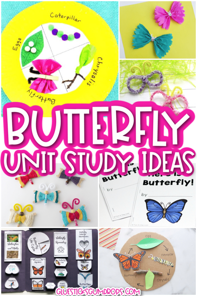 Butterfly Unit Study Ideas for Homeschool - Glue Sticks and Gumdrops