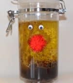 30 Christmas Science Experiments for Kids—Fun and Educational!