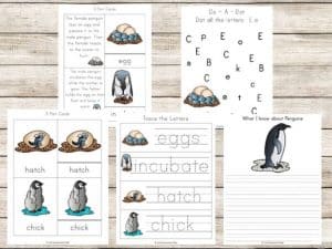 16 Fun Penguin Activities for Kids