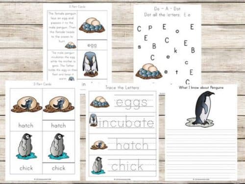 16 Fun Penguin Activities for Kids