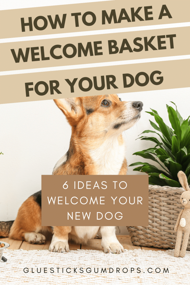 Create the Ultimate Welcome Basket for Your New Dog