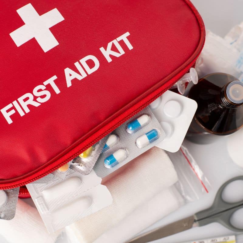 Printable Car Emergency Kit Checklist for Families