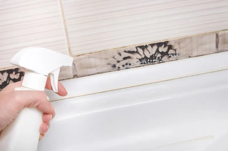 6 Hot Spots Where Mold Can Hide in Your Home