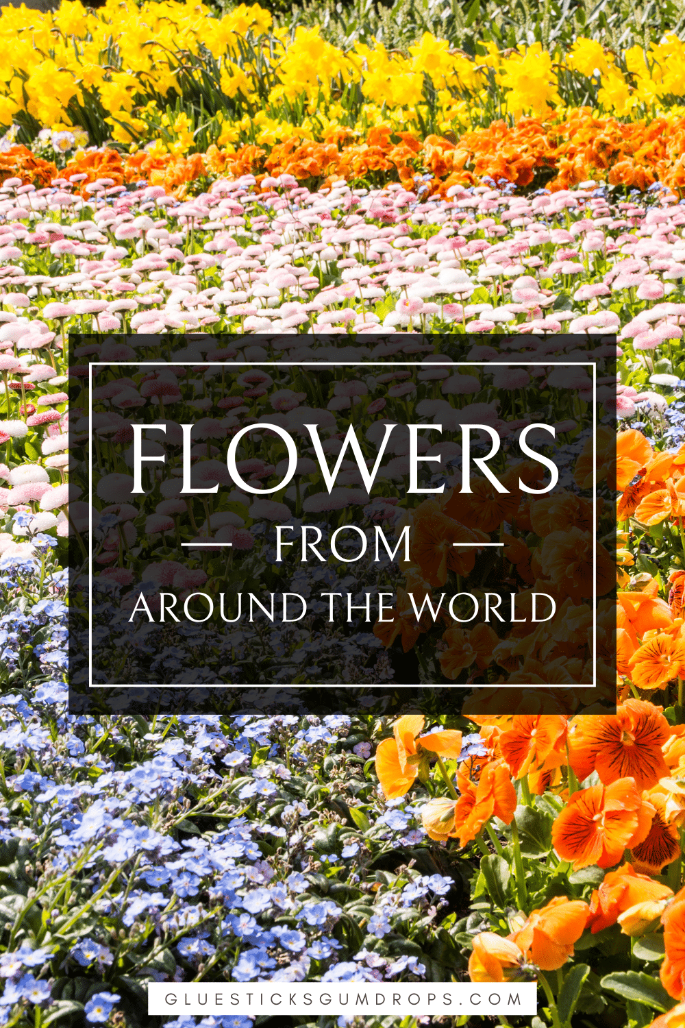 Trip Prompts: Cultural Aspects Related To Flowers Around The World