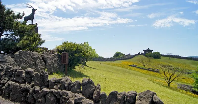 Jeju Magic: The Top 6 Tips for a Flawless Island Getaway Revealed