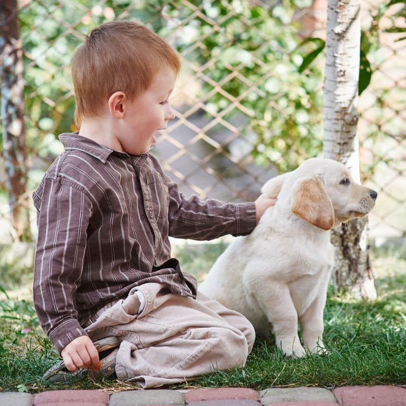 How Owning a Dog Can Teach Kids Responsibility and Empathy