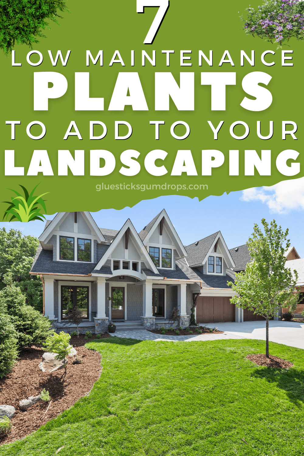 7 Low-Maintenance Plants to Add to Your Landscaping