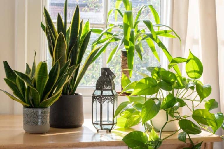 10 Must-Read Tips to Stay Cool and Comfortable This Summer