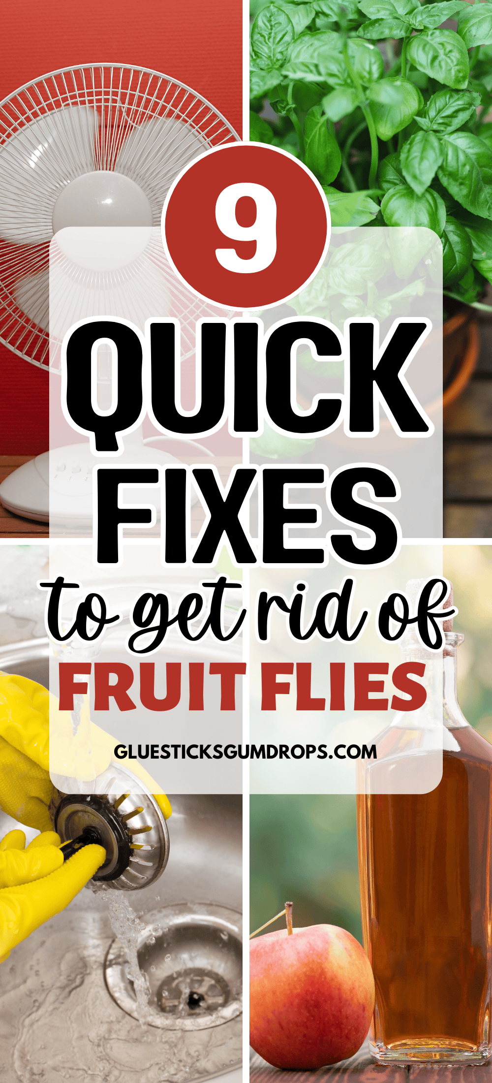 9 Quick Fixes to Get Rid of Fruit Flies
