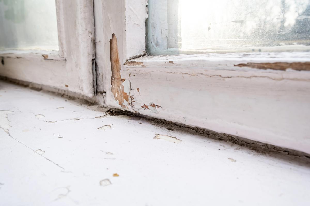 Inside the Sill: What Rot Looks Like Before It Spreads