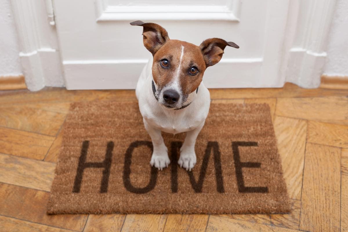 How to Choose the Perfect Welcome Door Mat for Every Home Style